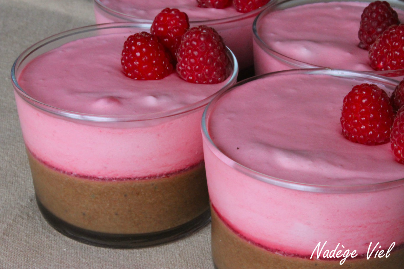 Duo de mousses framboises – chocolat noir – Citrouille & Citron